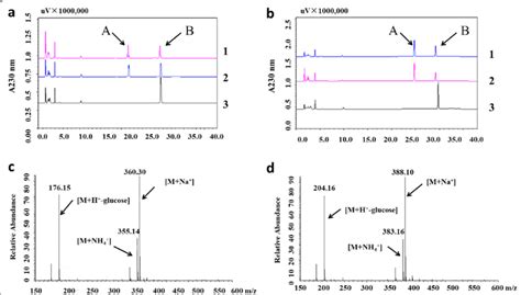 HPLC And LC MS Analysis Of Reaction Products From IAA And IBA Catalyzed Download Scientific