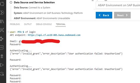 Access To The Abap Environment In Btp Sap Community