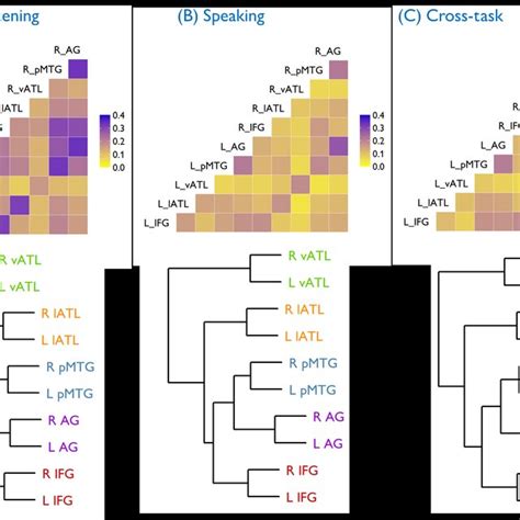relationships between neural dsms this analysis tested the