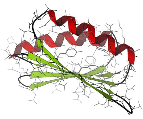 Three Protein Design Tools To Use In 2023