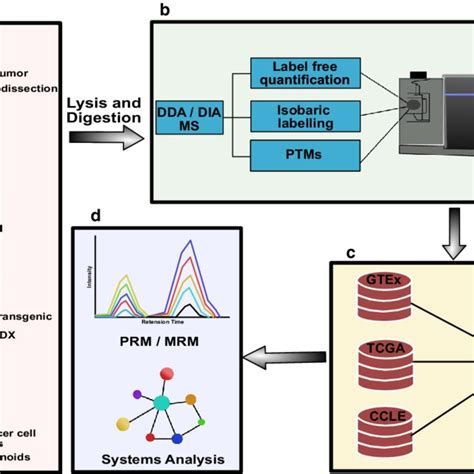 Pdf Recent Advances In Mass Spectrometry Based Clinical Proteomics