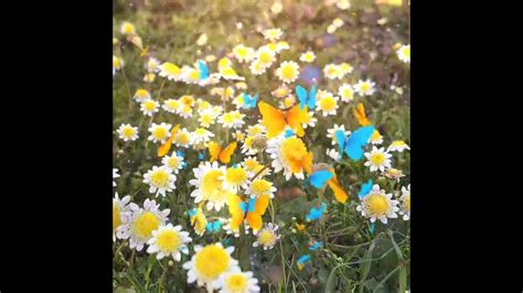 Релаксаційна вправа Метелик Youtube