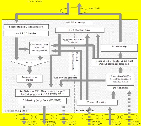 Ciphering In A Model Of An Am Mode Entity 9 Download Scientific Diagram