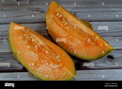 Muskmelon Cucumis Melo Or Melon A Species Of Cucumis That Has Been