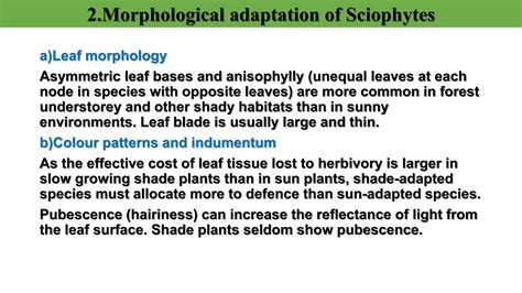 Sciophytes Pptx Gardening Home And Garden