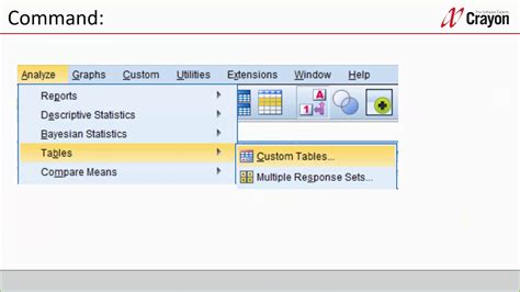 Part 4 Module Spss Custom Tables Denmark 21 Mar 2019 Youtube
