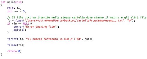 Utilizzare Creare E Gestire File Di Testo Nel C