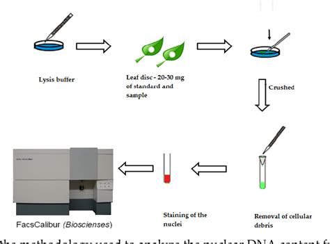 How To Read Flow Cytometry Chart Ponasa