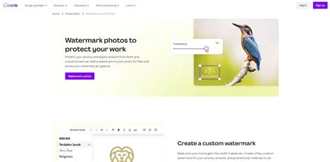 Watermark Your Images Like A Pro 7 Best Ways Tools