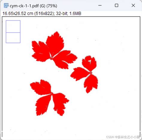 Imagej批量计算叶片面积imagej测量面积 教程 Csdn博客