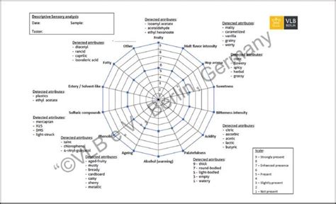 Sensory Analysis Of Beer Brewer World Everything About Beer Is Here
