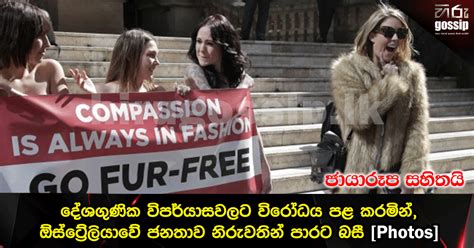 දශගණක වපරයසවලට වරධය පළ කරමන ඕසටරලයව ජනතව නරවතන පරට බස Photos THE