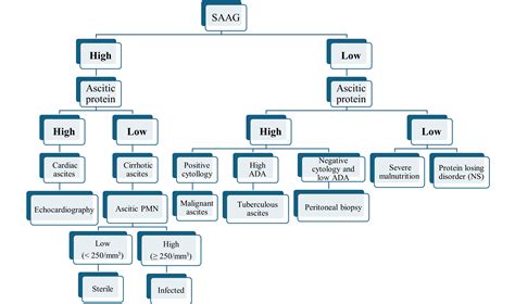 Newonset Ascites A Simplified Diagnostic Algorithm Medcrave Online