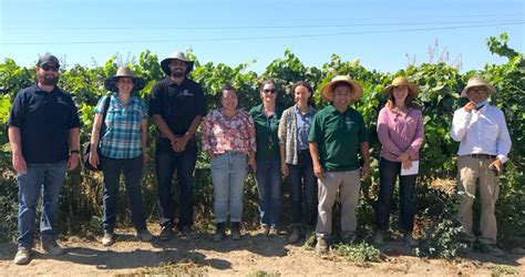 Farmer Fridays In The Field In Fresno Calcan California Climate