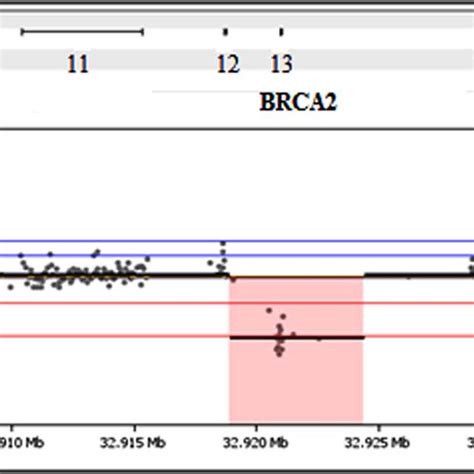 Microarray Has Exon Level Resolution For Deletion And Duplication Download Scientific Diagram