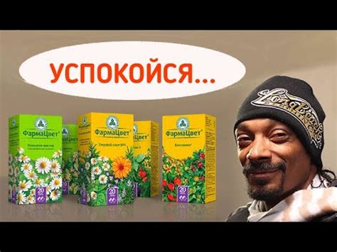 ⚠️Фитоседан 3, 2 - мой отзыв после приема⚠️ - YouTube