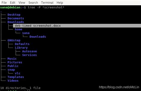 通过示例掌握debian上的tree命令使用方法 debian tree csdn博客