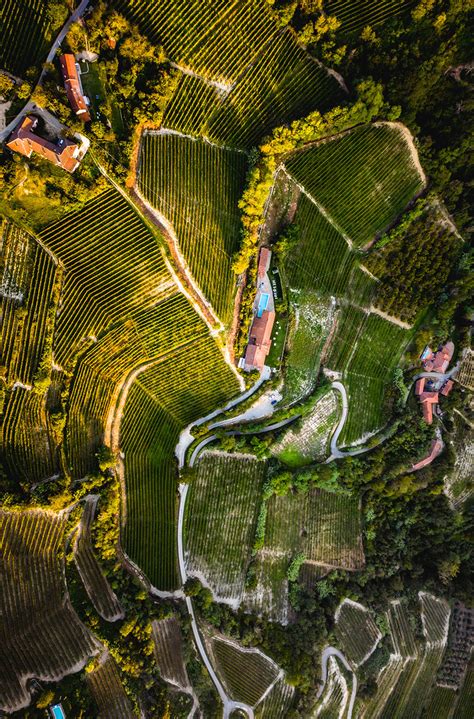 Territory And Vineyards Dante Rivetti