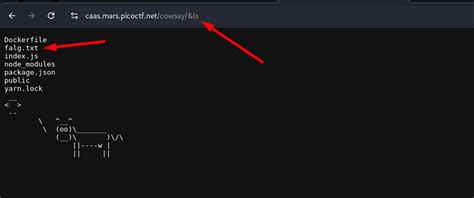 Picoctfweb Exploitation Caas Çözümü Yasin Murat Kaşka Medium