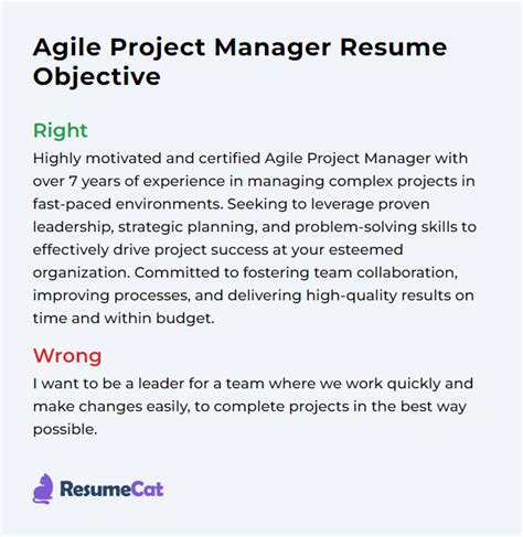 Top Agile Project Manager Resume Objective Examples