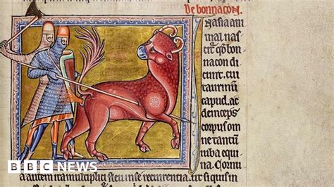 Animal With Amazing Flatulence Found In Medieval Book
