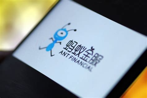 앤트그룹 중국 규제에서 벗어나 성장할까 데일리바이트daily Byte