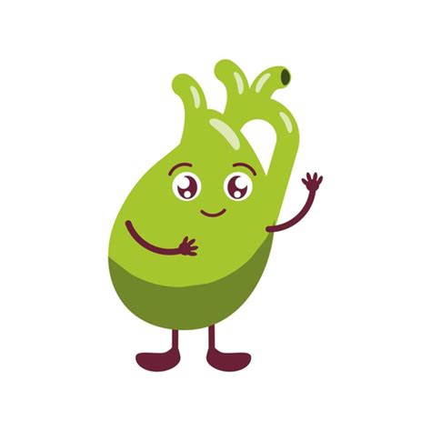 Hepatobiliary Diseases Final Flashcards Quizlet