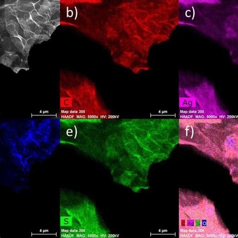 Principle Of Molecular Self Assembly Based 3d Printing Schematics Of Download Scientific
