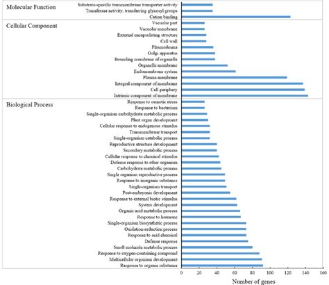 Gene Ontology Go Classification Of Induced Transcripts P