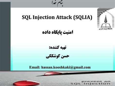 Data Base Security Sql Injection Attacks Ppt