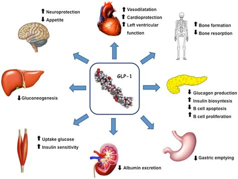 Glp 1 Agonist Comparison Chart Glp Agonist Diabetes Medicati