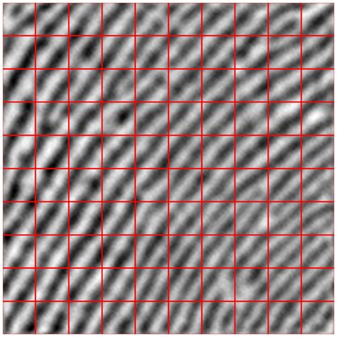 An Effective Fingerprint Orientation Field Estimation Method Using Differential Values Of