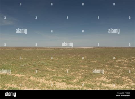 Folgen Der Aralsee Katastrophe Steppe Und Sand Auf Dem Gelände Der