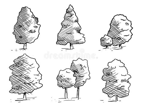 Set Of Vector Isolated Black And White Trees In Sketch Style Lush