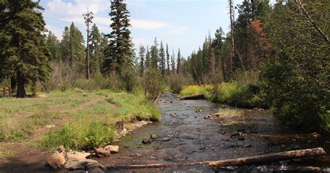 Arizona Hiking Vacations And Free Hike Trail Maps Greer Lodge