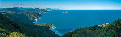 브라질의 아마존 열대우림 열대 우림 아마존 사진 배경 일러스트 및 사진 무료 다운로드 Pngtree