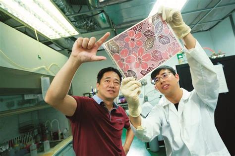 Photonic Nature Magazine Inspiration Artofit