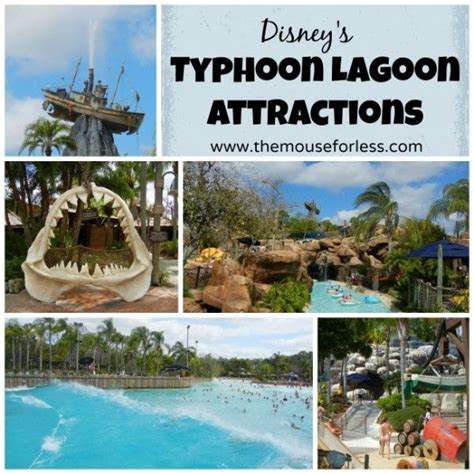 Detailed Map Typhoon Lagoon Disney World