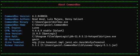 Commandbox 62 Slowness With Error Commandbox Cli Ortus Solutions Community