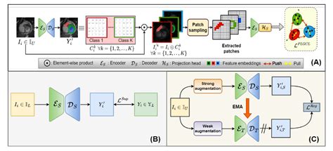 【半监督医学图像分割 2023 Cvpr】patchclcvpr2023医学图像分割 Csdn博客