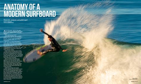 365 Boards Issue • Surfing Life