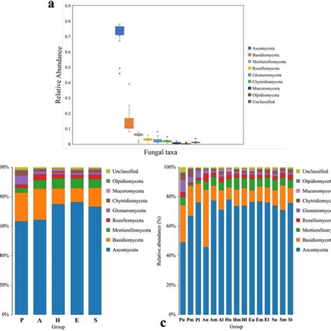 A The Relative Abundance Of Major Functional Groups B Species Download Scientific Diagram