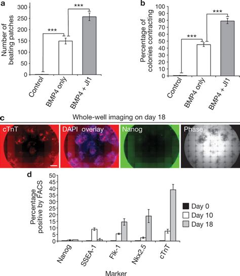 gauging reprogramming efficiency and success by incidence of beating