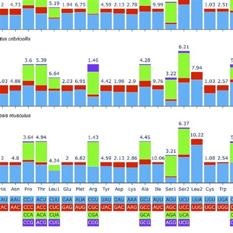 codon usage of the 13 mitochondrial protein coding genes of glyphonyx