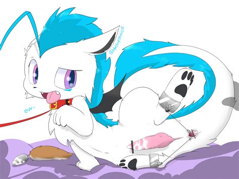 Rule 34 D Anthro Anus Buttplug Collar Dragon Gaping Gaping Anus