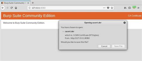 how to use burp and foxyproxy to easily switch between proxy settings null byte wonderhowto