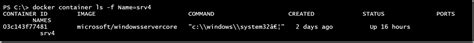 More Fun With Docker Containers And Powershell • The Lonely Administrator