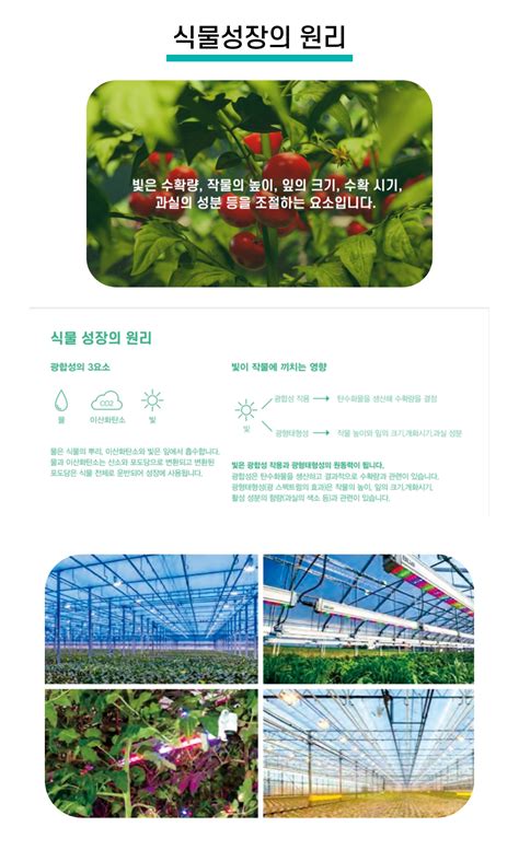식물성장의 원리 에어돔하우스 청이소 다하채