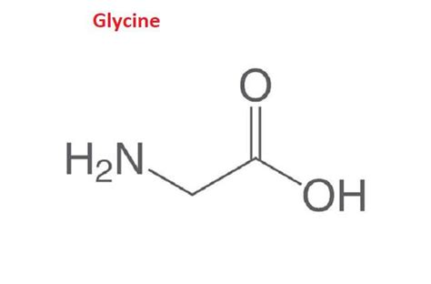 List The Monomers Of Proteins Name And Write The Structural Quizlet