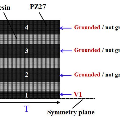 Schematic Description Of A Seven Element Transducer Array Download Scientific Diagram